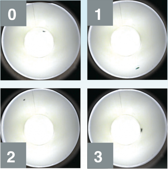 Sysmac Style Robotics Future Proof Camera Omron Industrial Automation